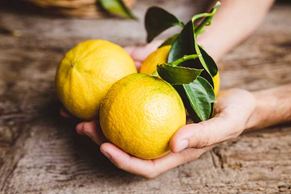 Earl Grey Tea, Origen y variedades | Punto de Té