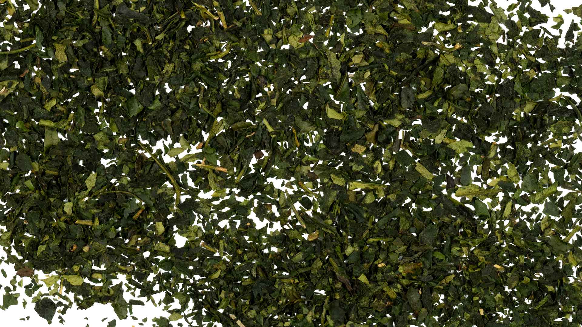 ¿Cómo se hace el té verde Japonés? - Explicado al detalle